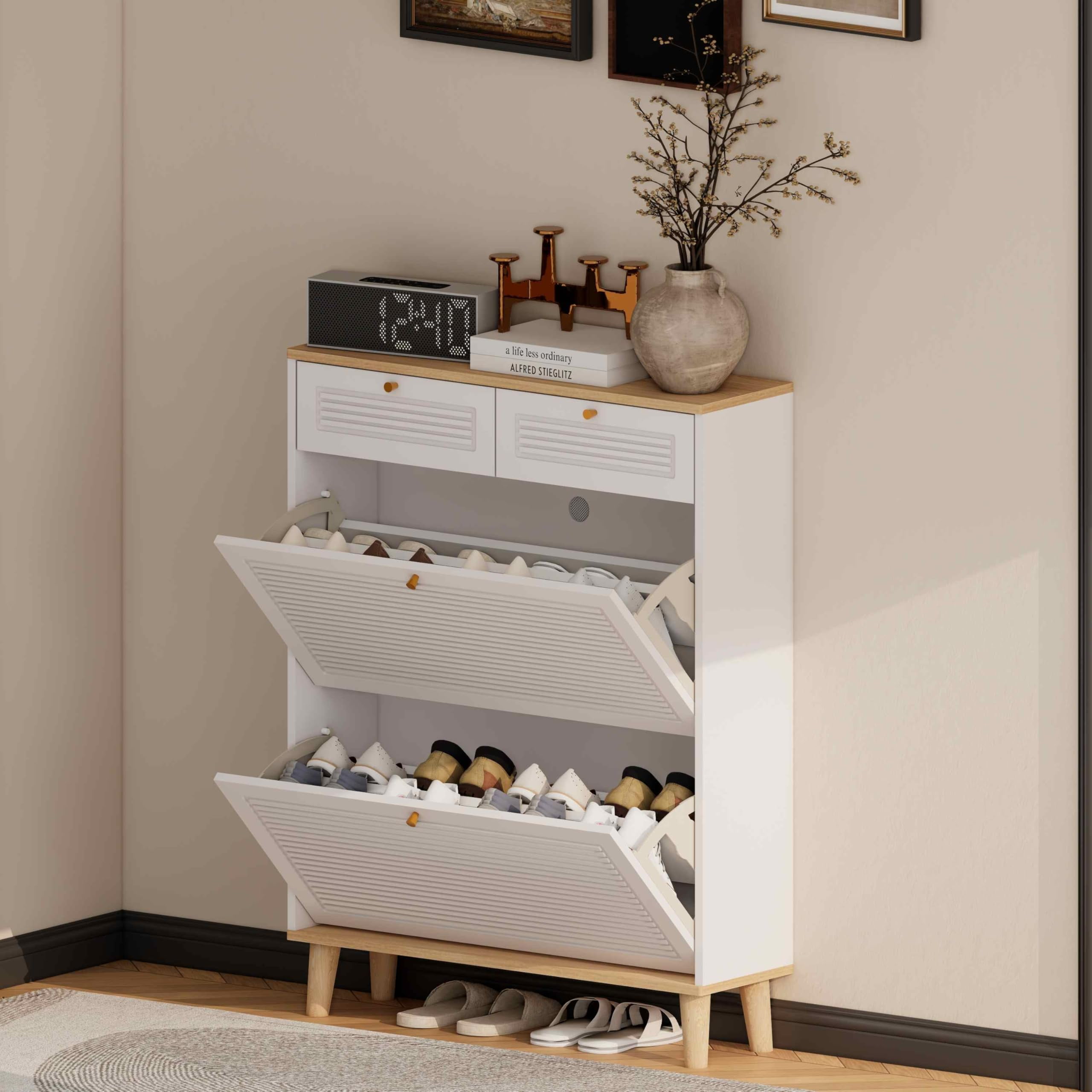 Shoe Cabinet Storage for Entryway, Modern Shoe Storage Cabinet with 2 ...