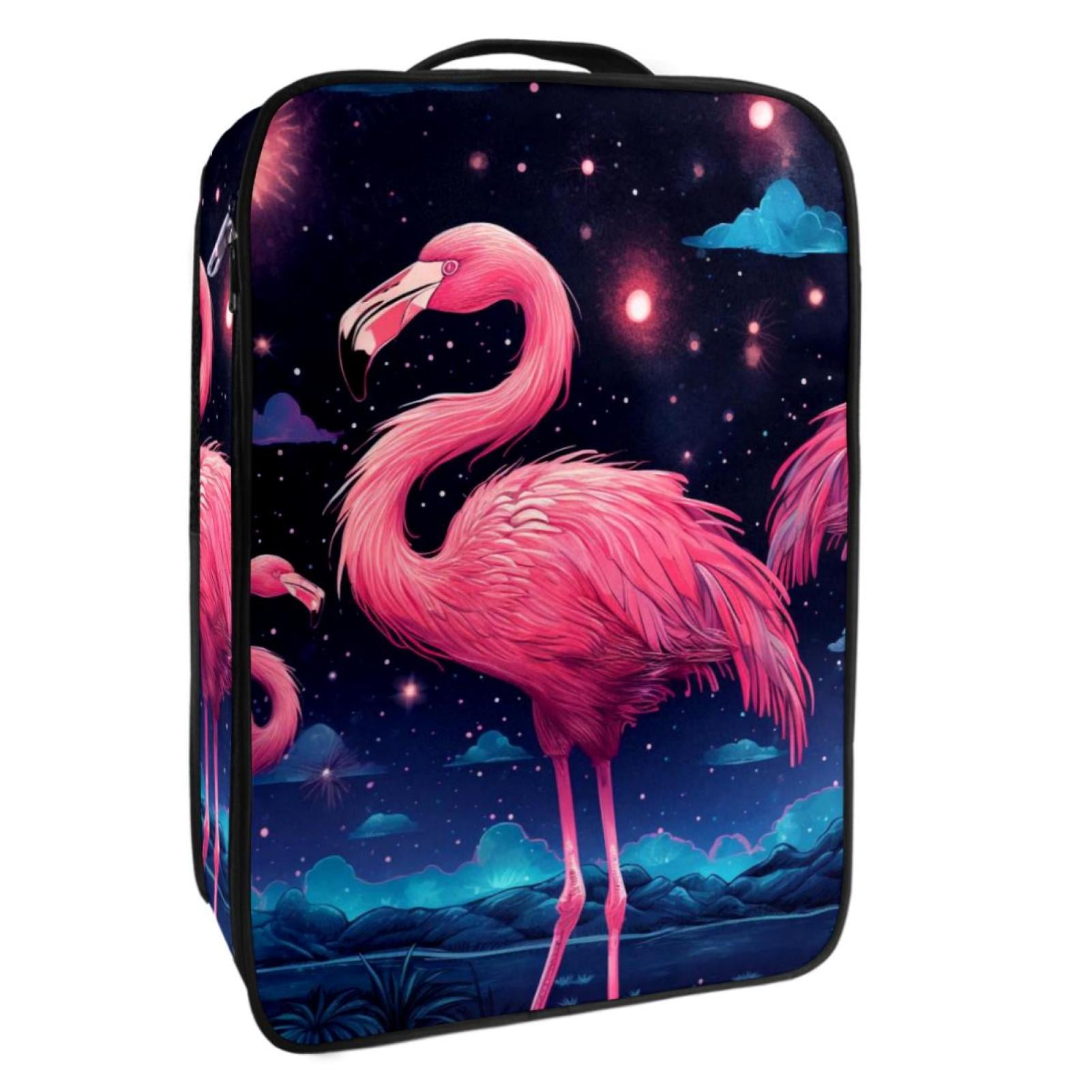 Shoe Organizer Box 23x31cm 9x12in | Closet Storage Container for Shoes ...