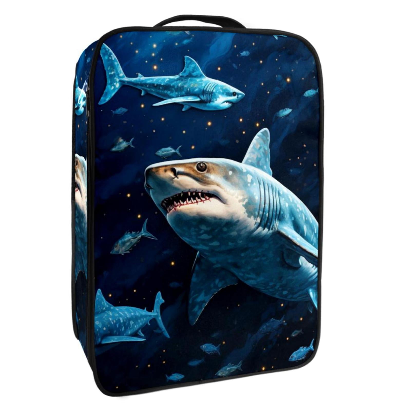 Shoe Organizer Box 23x31cm 9x12in | Closet Storage Container for Shoes ...