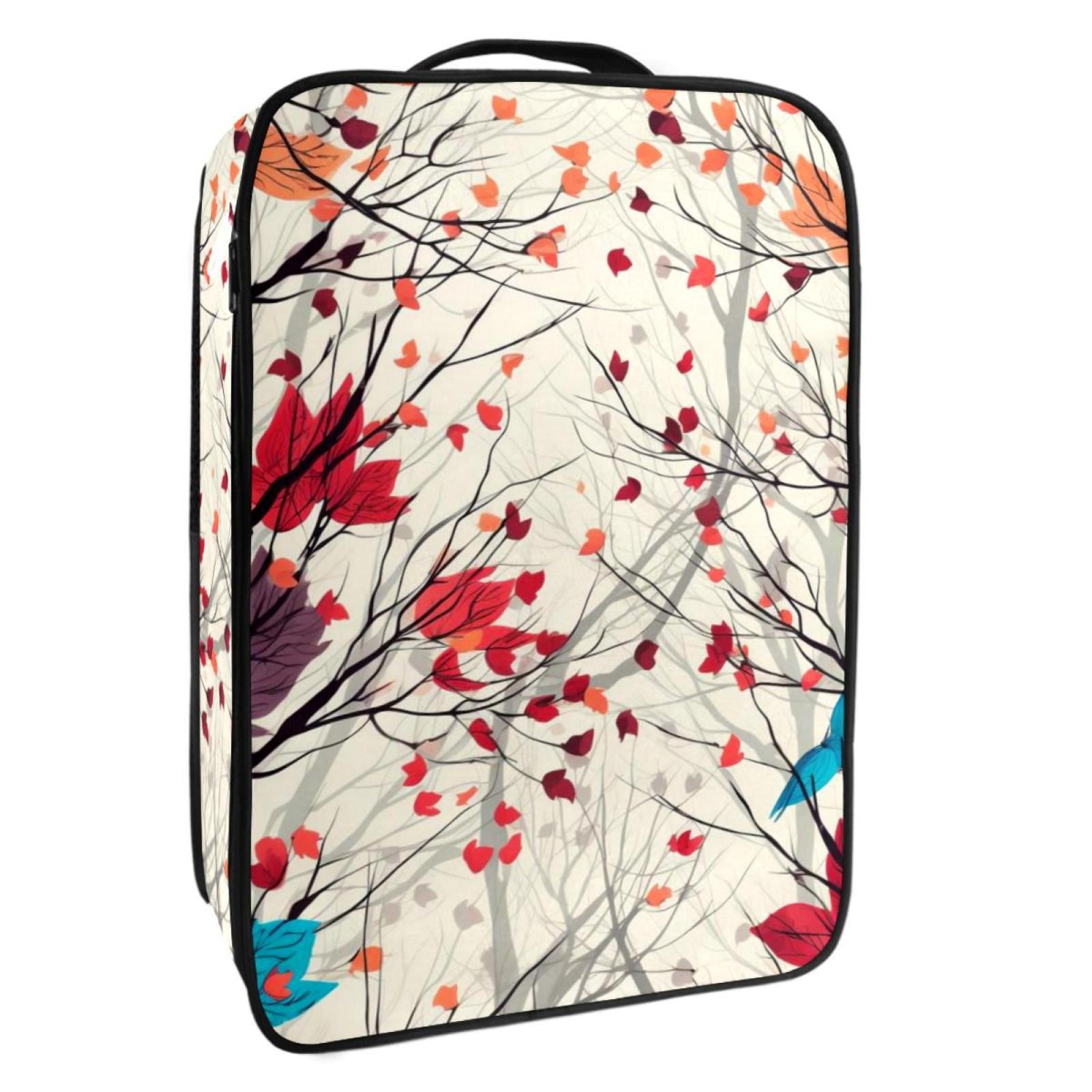 Shoe Organizer Box 23x31cm 9x12in | Closet Storage Container for Shoes ...