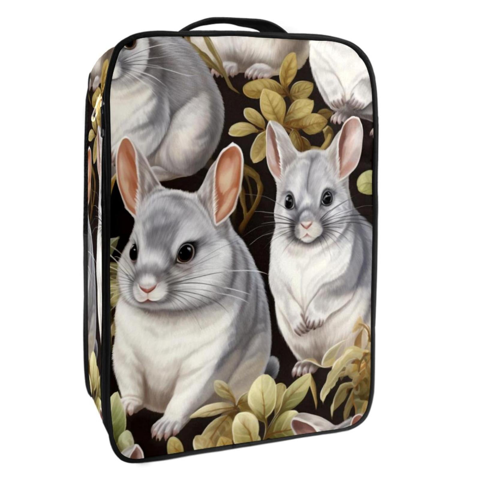 Shoe Organizer Box 23x31cm 9x12in | Closet Storage Container for Shoes ...