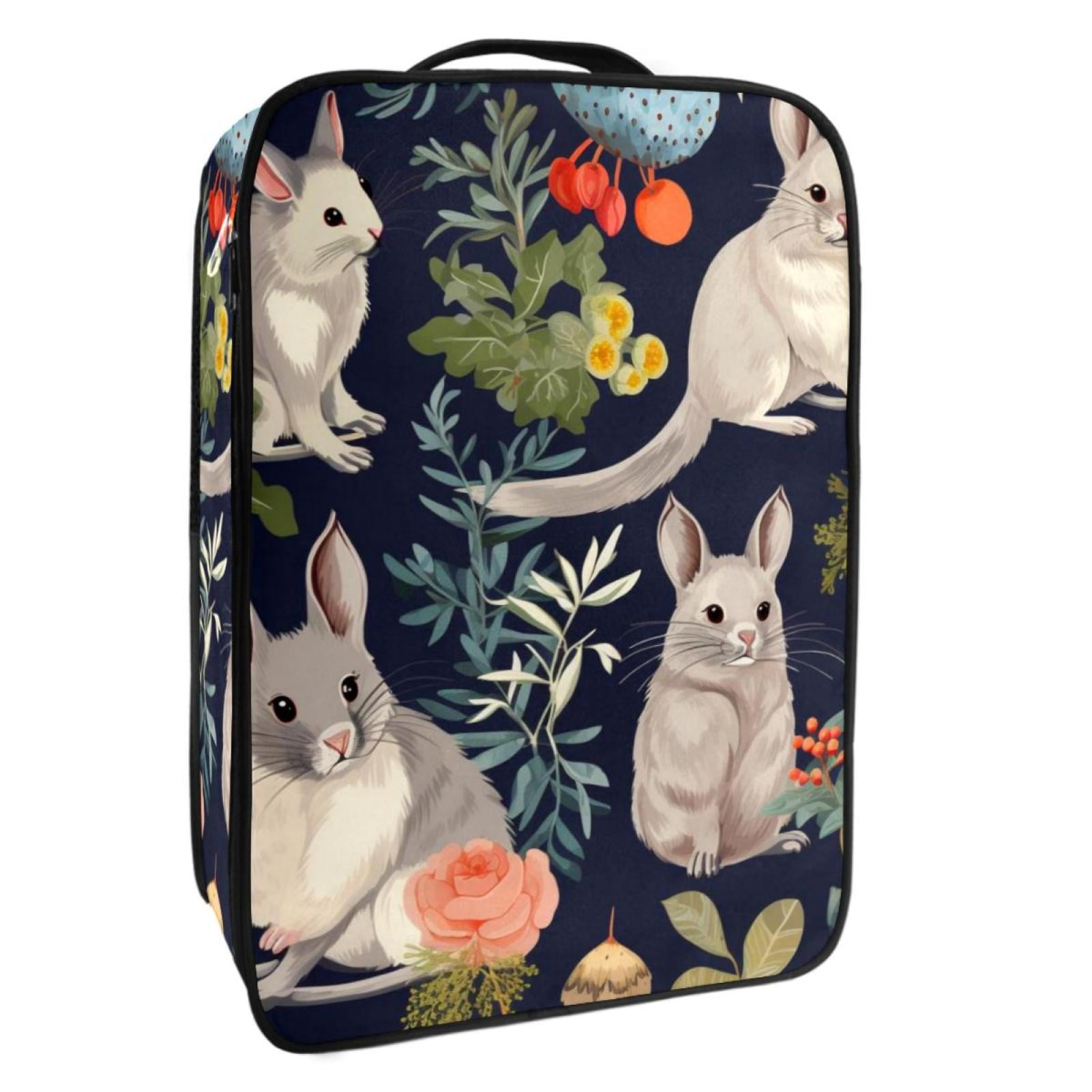 Shoe Organizer Box | 23x31cm/9x12in Storage Solution for Shoes ...