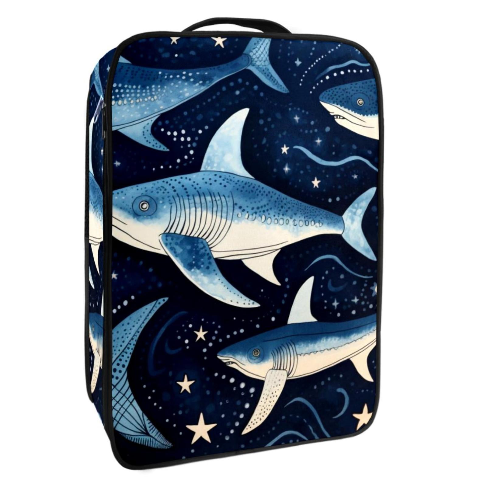 Shoe Organizer Box | 23x31cm/9x12in Storage Solution for Shoes ...