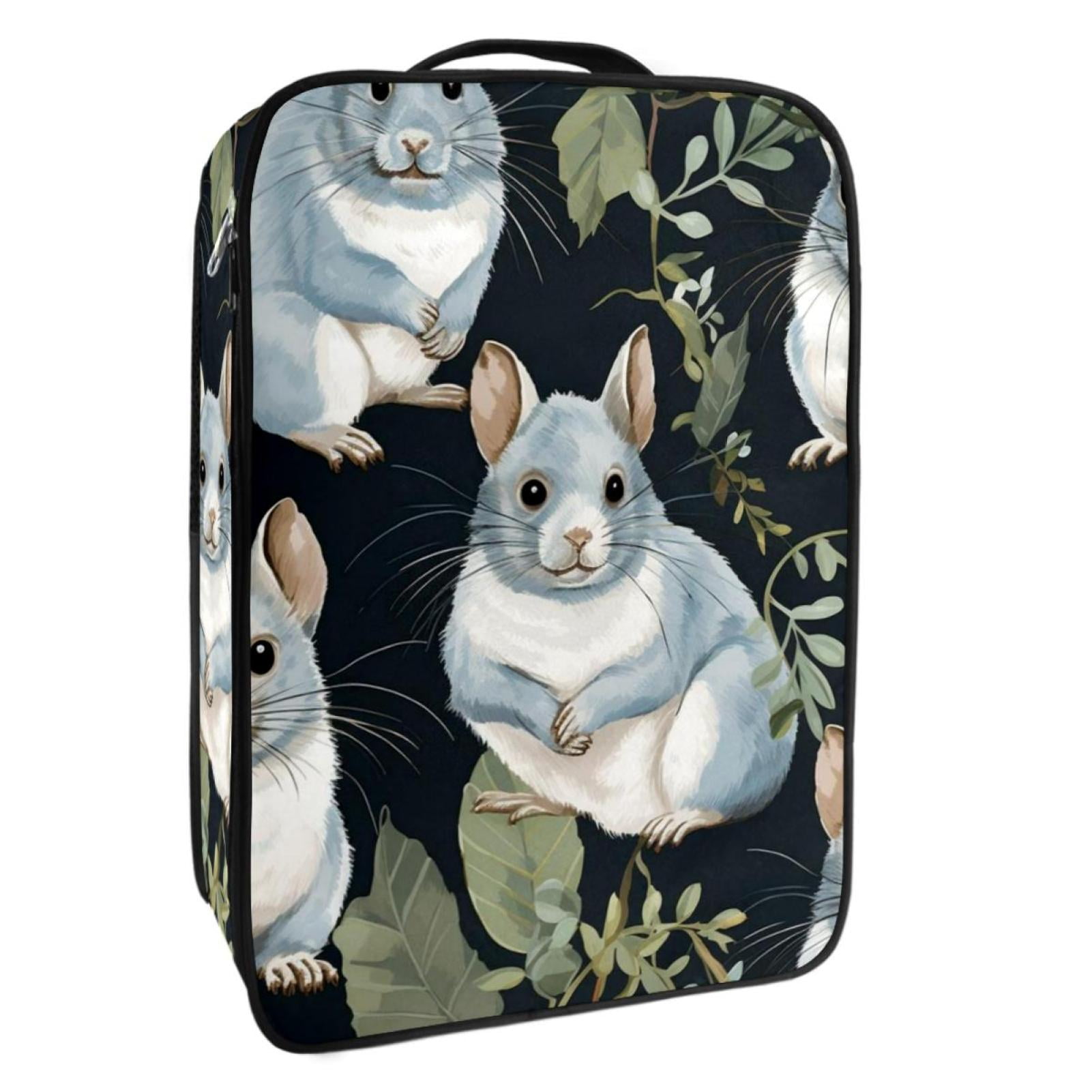 Shoe Organizer Box | 23x31cm/9x12in Storage Solution for Shoes ...