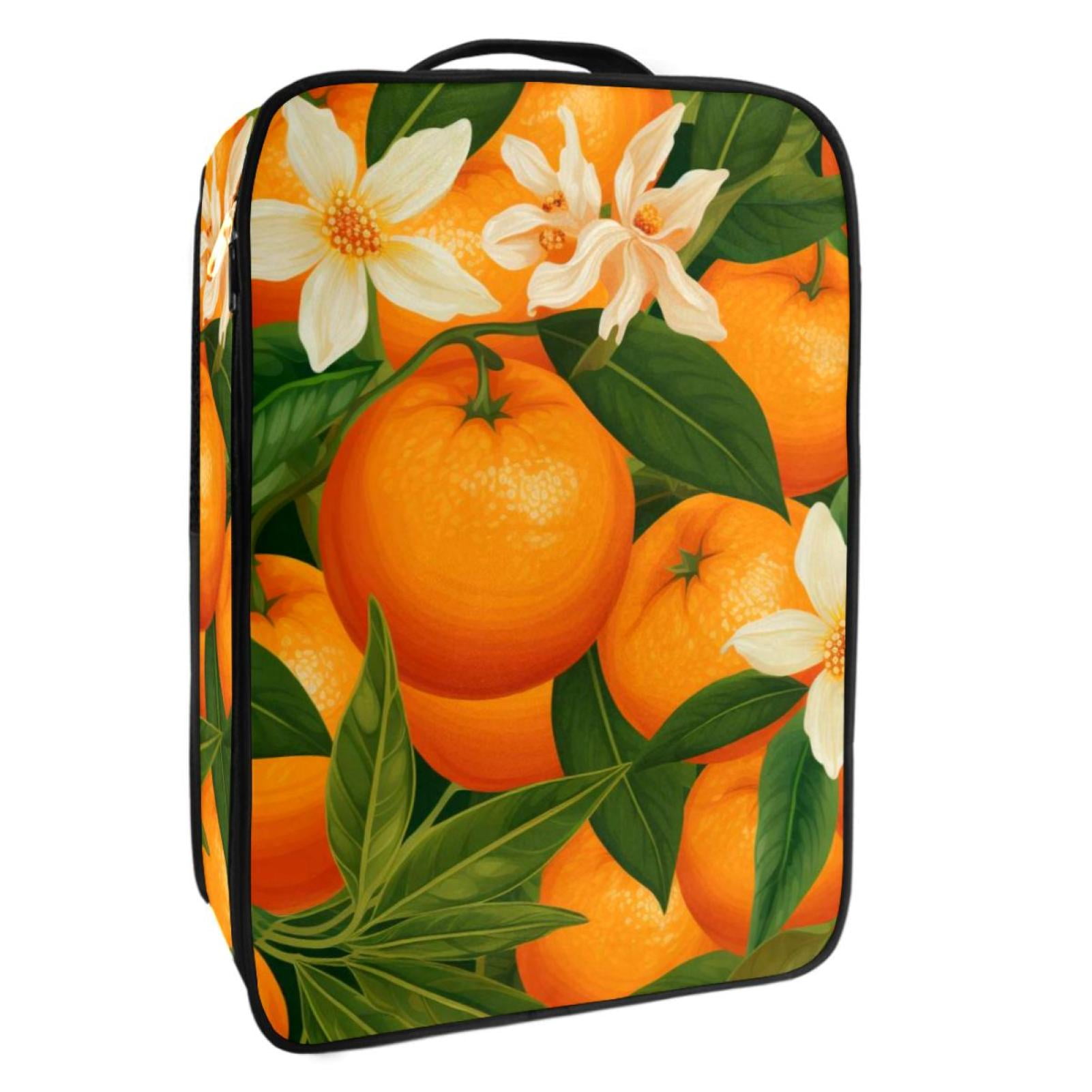 Shoe Organizer Box | 23x31cm/9x12in Storage Solution for Shoes ...