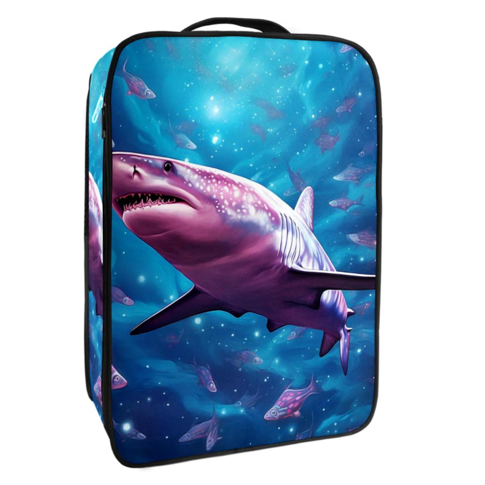 Shoe Organizer - Durable Shoe Boxes for Easy Storage - 23x31cm/9x12in ...