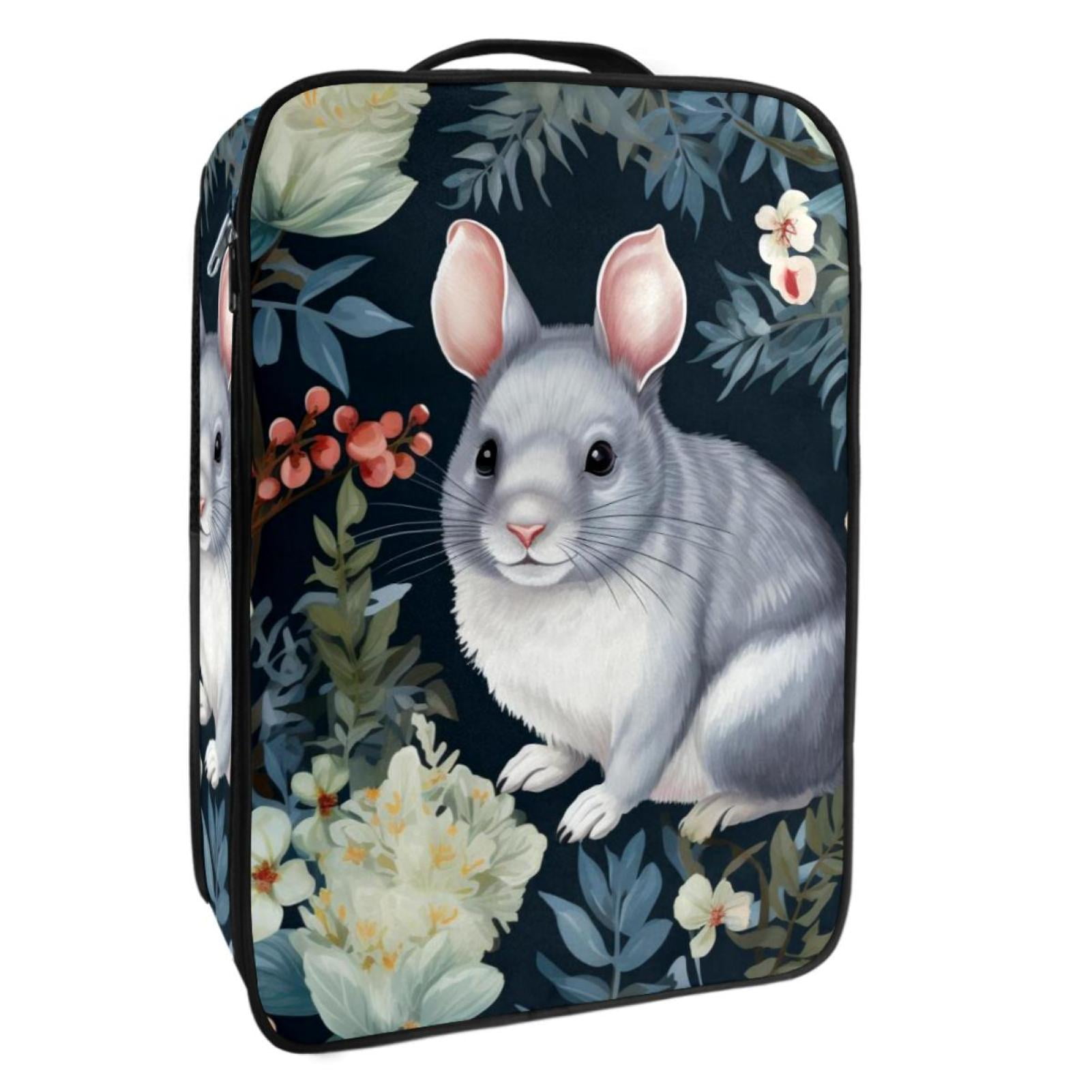 Shoe Rack Organizer Holder Storage Box 23x31cm/9x12in Closet Space ...