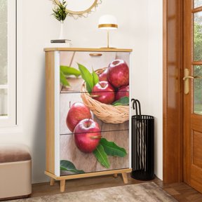 Shoe Storage Cabinet with 3 Flip Drawers for Western Landscape Stained ...