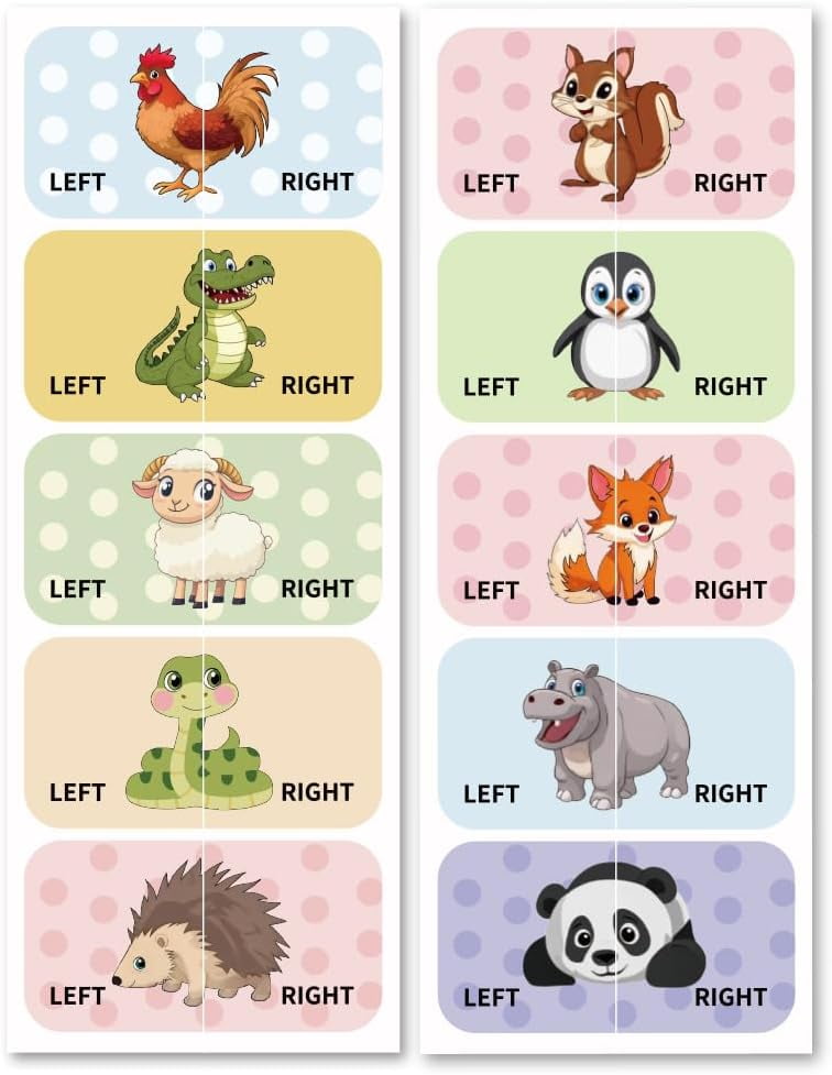 Shoes Stickers for Shoes Learning Left Right Cartoon Animals 100pcs(50 ...
