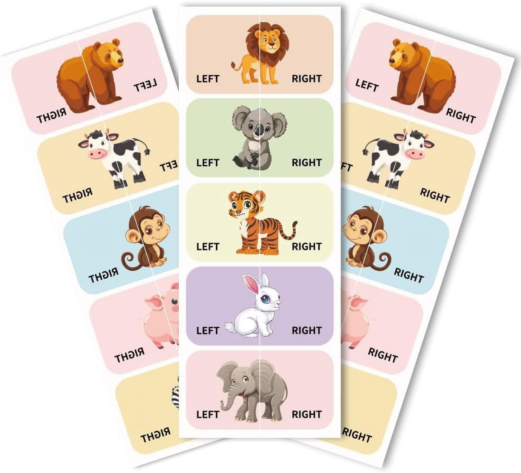 Shoes Stickers for Shoes Learning Left Right Cute Animals 100pcs(50 ...
