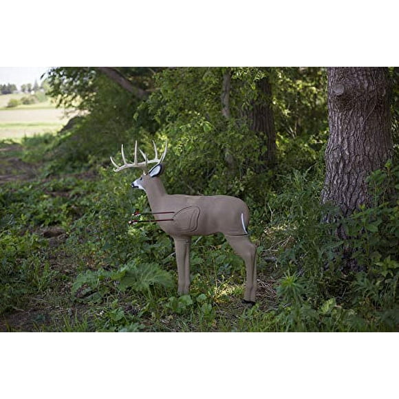 Deer 3D Targets