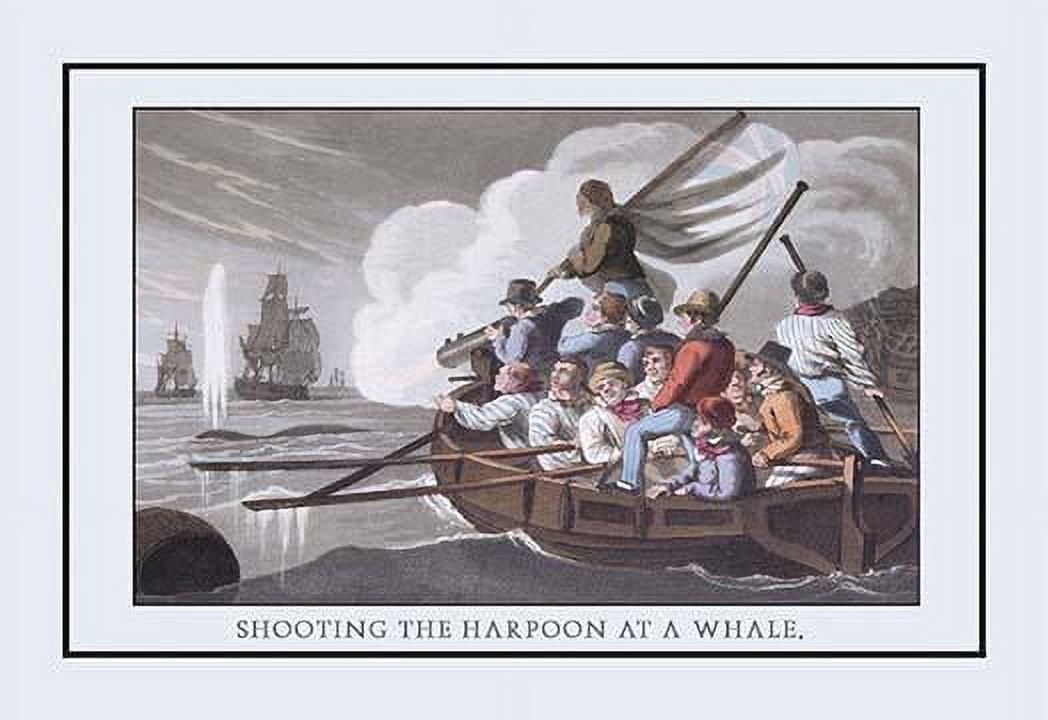 Harpoon Whale