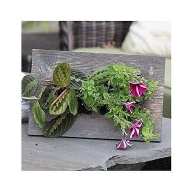 Shop Living Walls Mini Frame Grey - Walmart.com