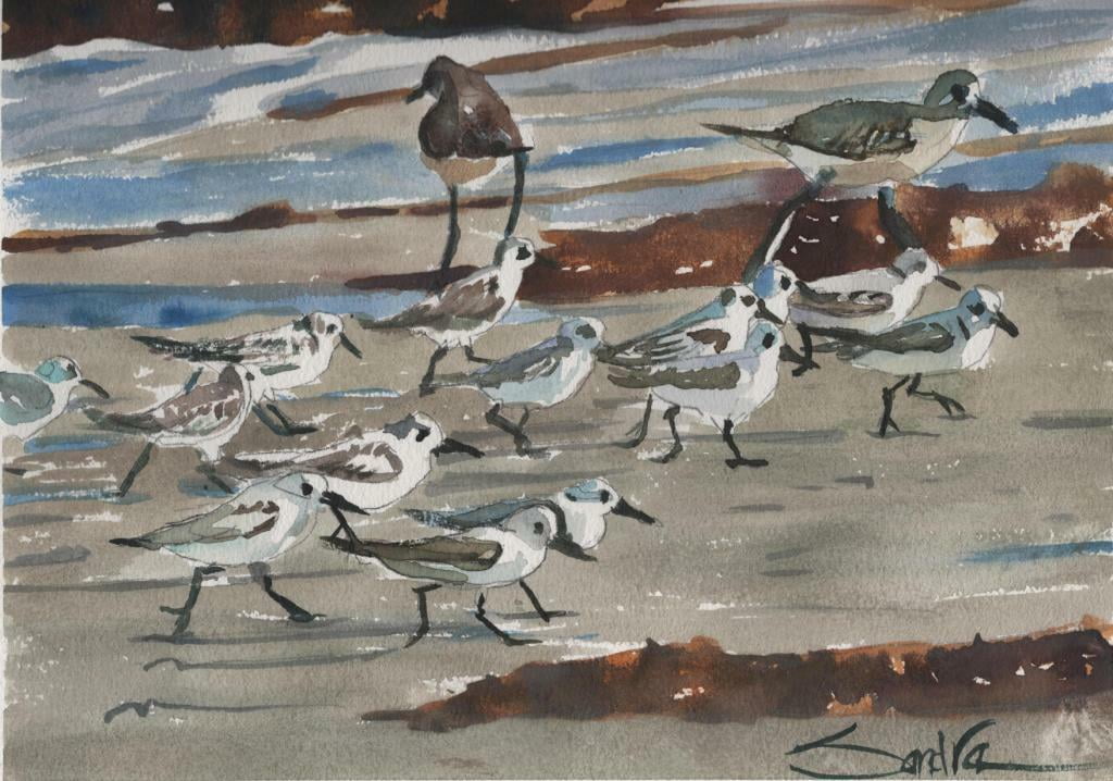 Shore Birds : SIGNED Limited Edition Art Print : Sandra Watercolors ...