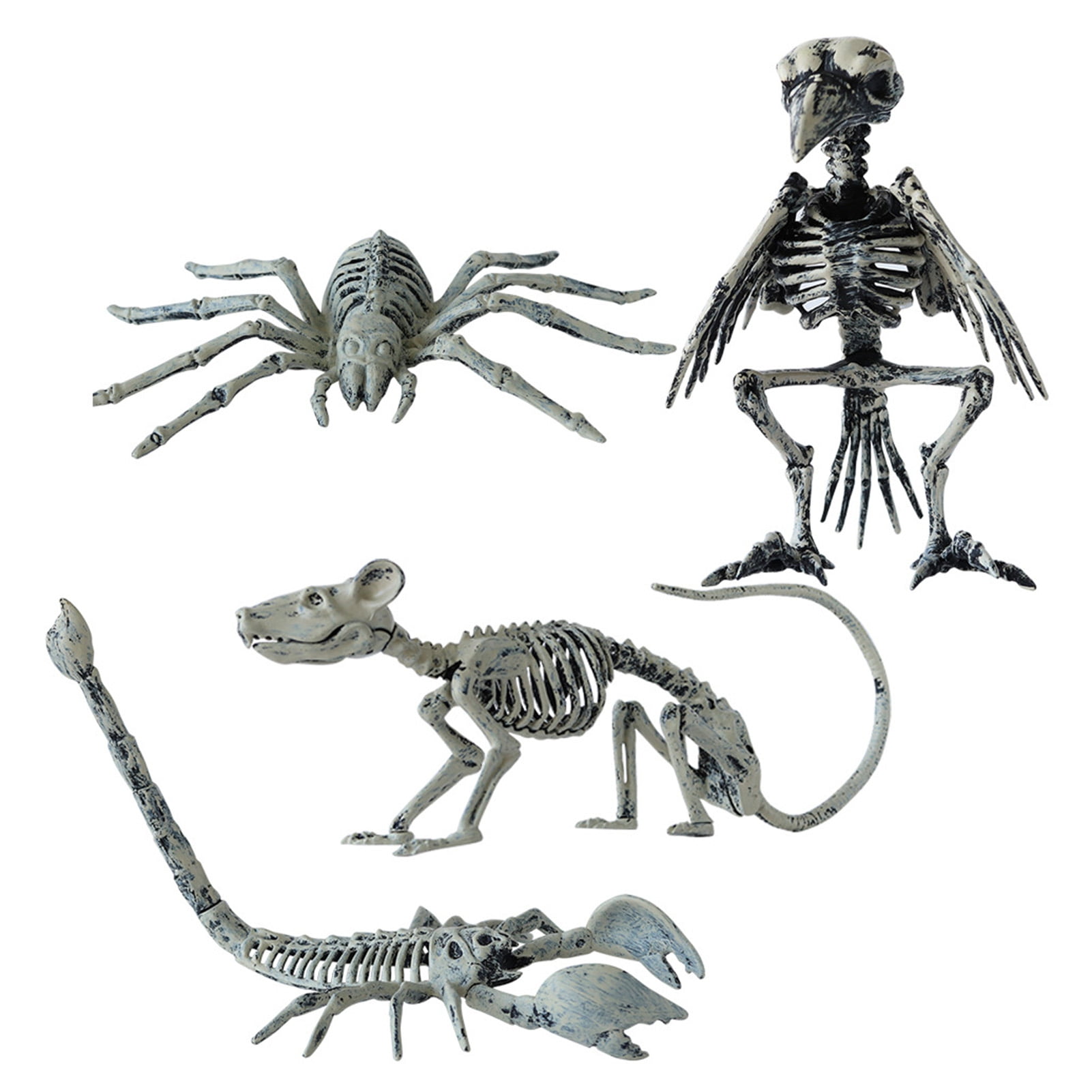Shoreew Halloween Animal Skeleton Plastic Bone Model Realistic Skeleton ...