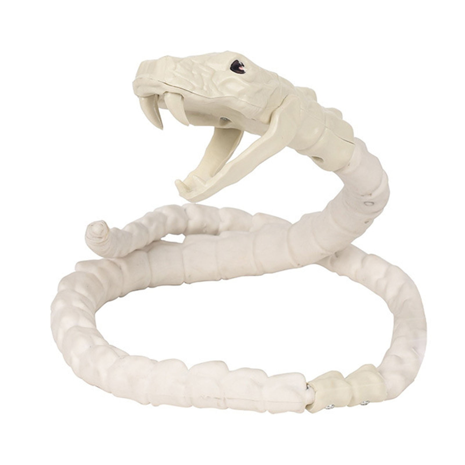 Shoreew Halloween Animal Skeletons Dog Bat Frog Scorpion Spider Snake ...