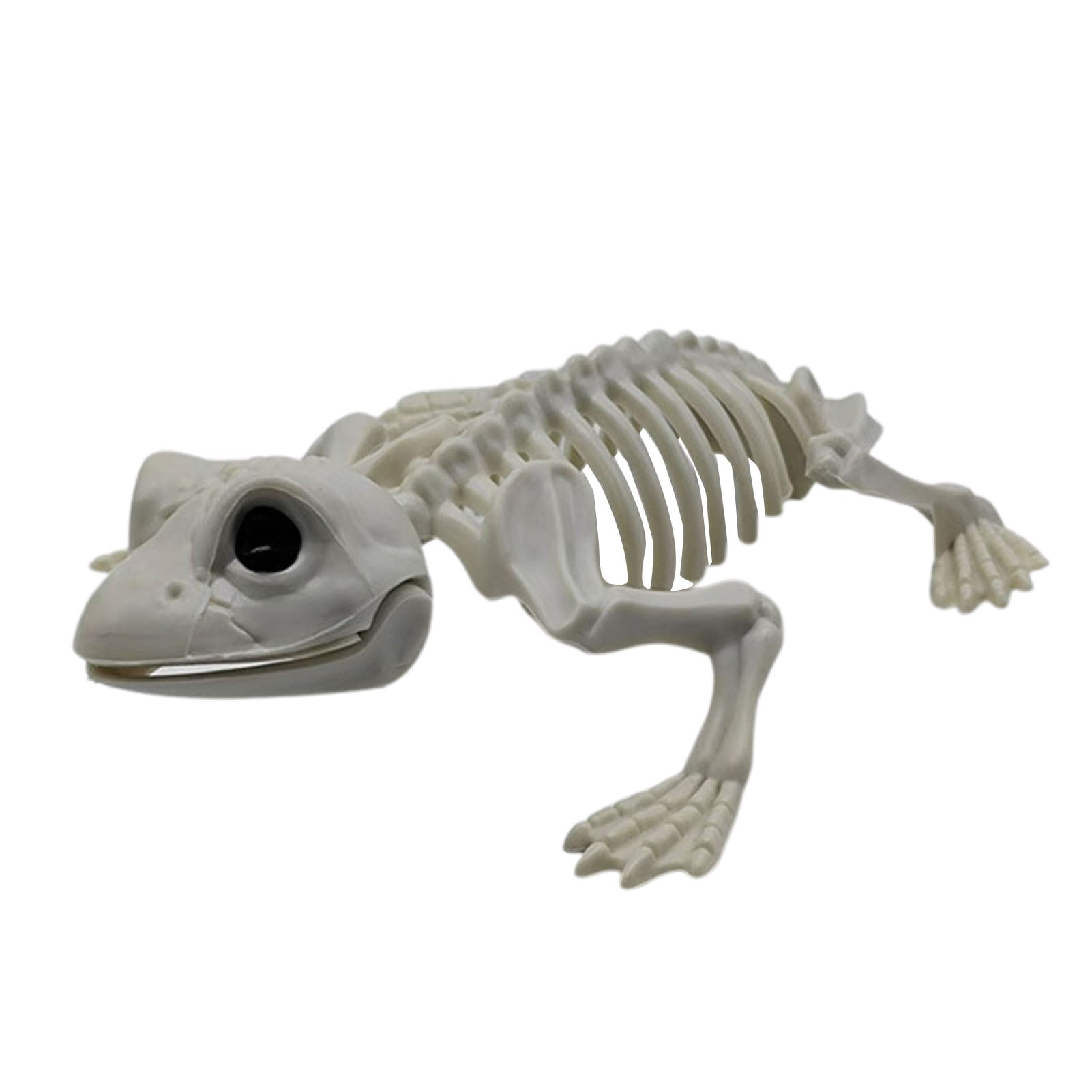 Shoreew Halloween Animal Skeletons Dog Bat Frog Scorpion Spider Snake ...