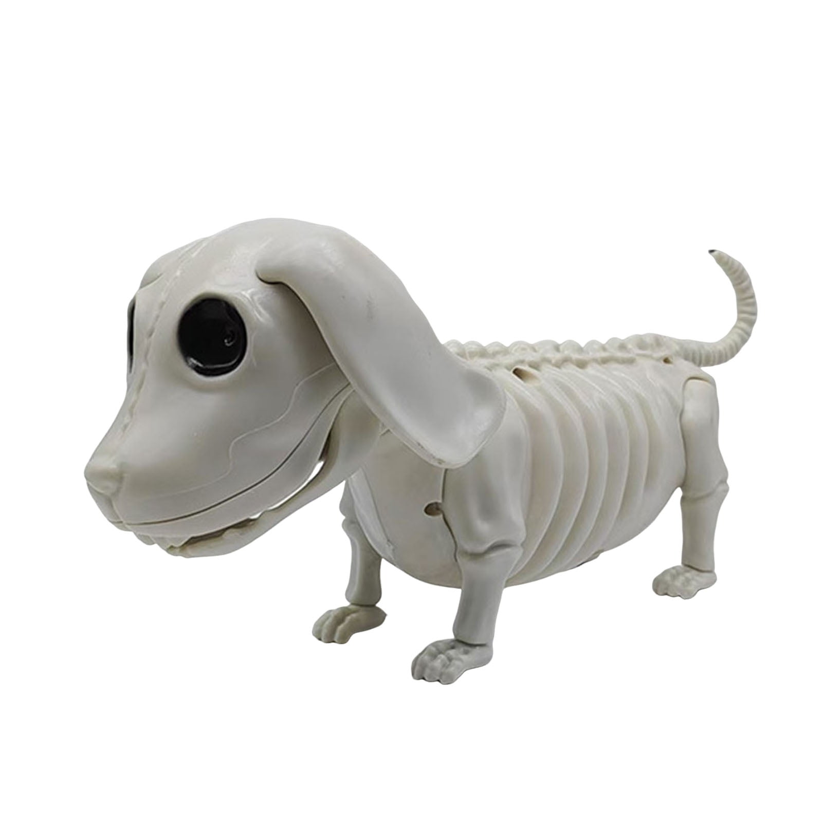 Shoreew Halloween Animal Skeletons Dog Bat Frog Scorpion Spider Snake ...