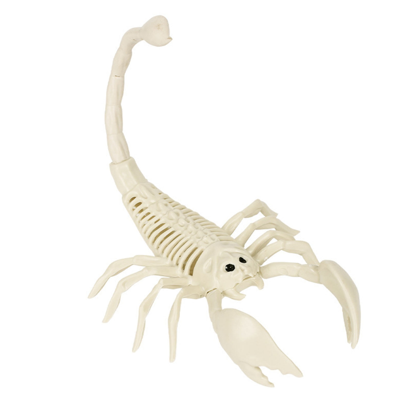 Shoreew Halloween Animal Skeletons Dog Bat Frog Scorpion Spider Snake ...