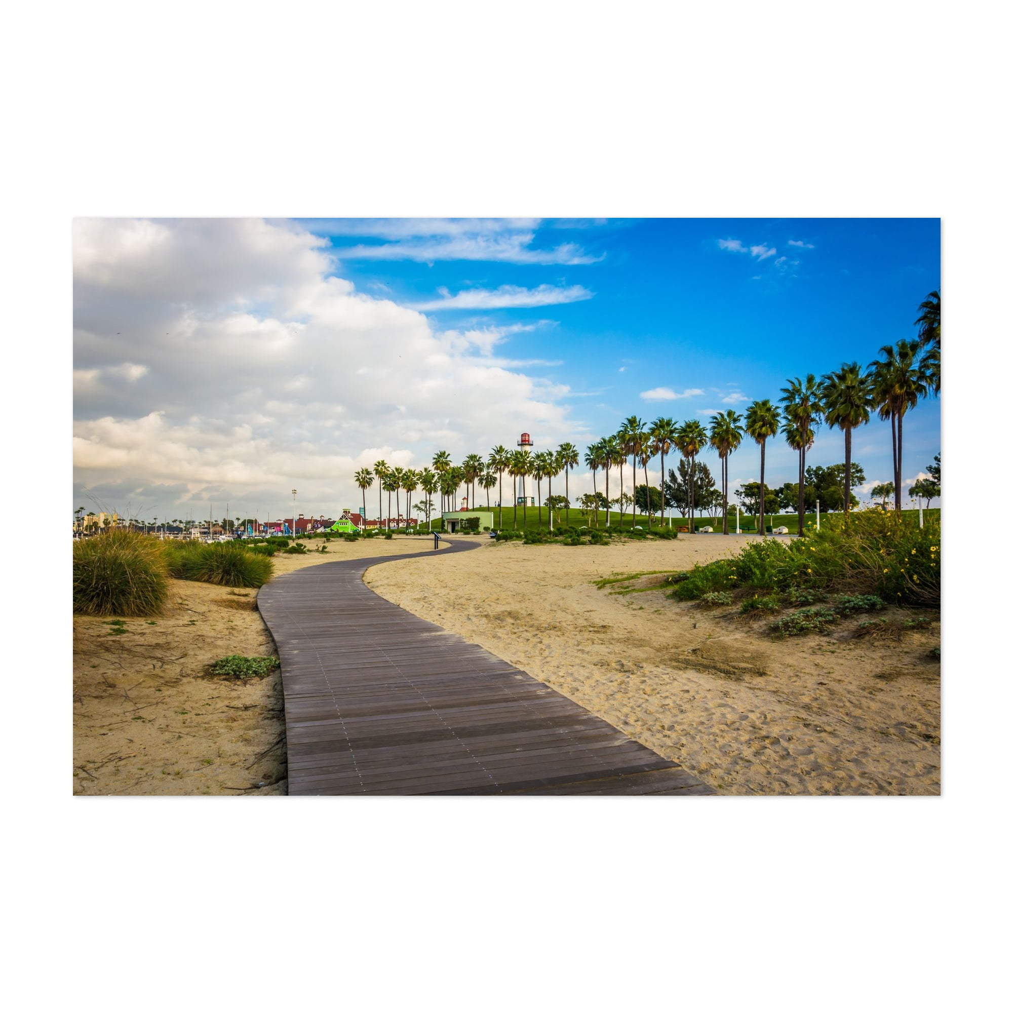 Shoreline Aquatic Park - Long Beach California Photography Beach Palm ...