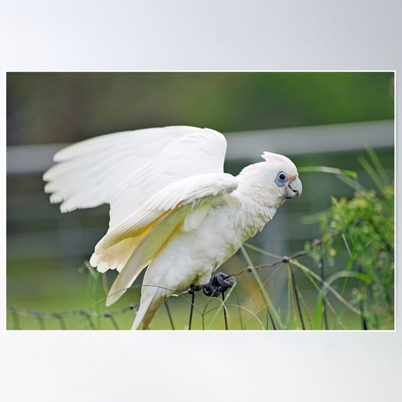 Brisbane Queensland Australia