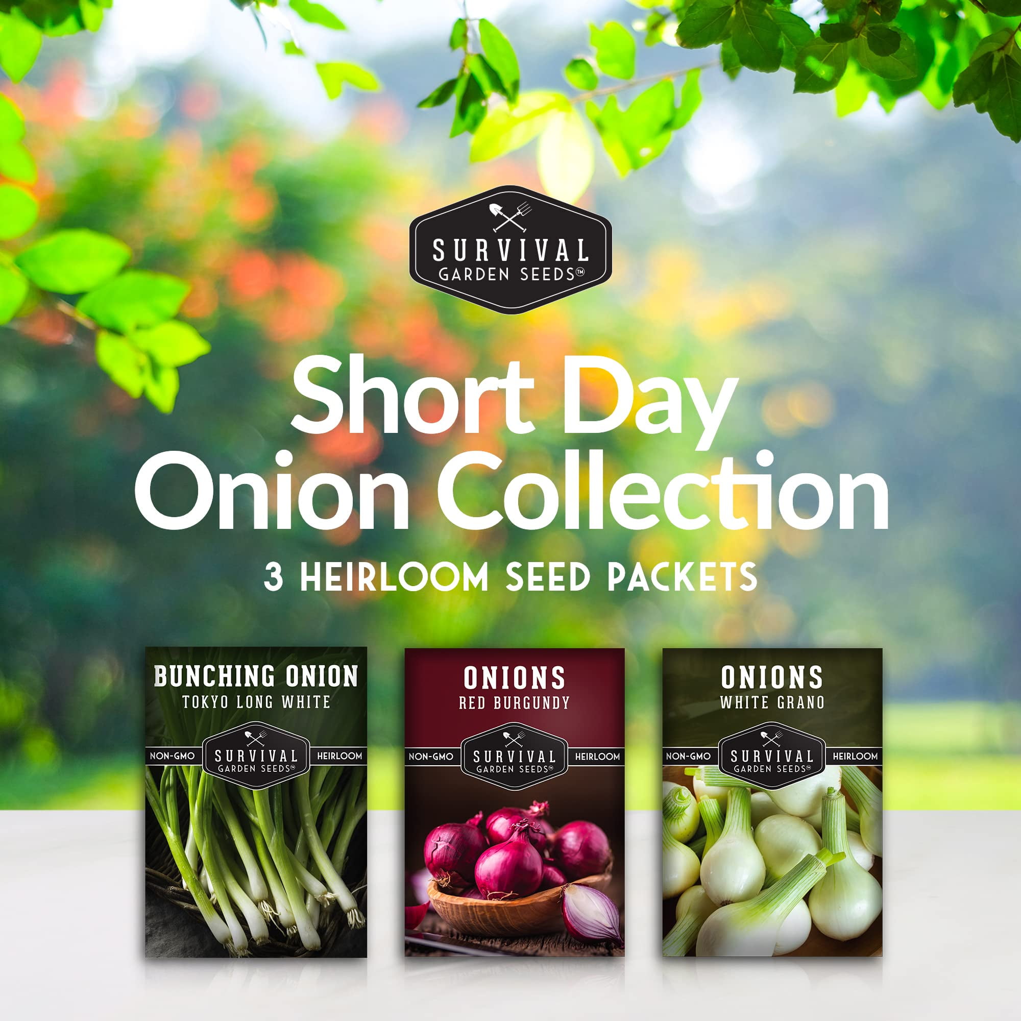 Short Day Onion FEV6 Seed Collection for Planting - 3 Packs to Plant & Grow Red Burgundy, White ...