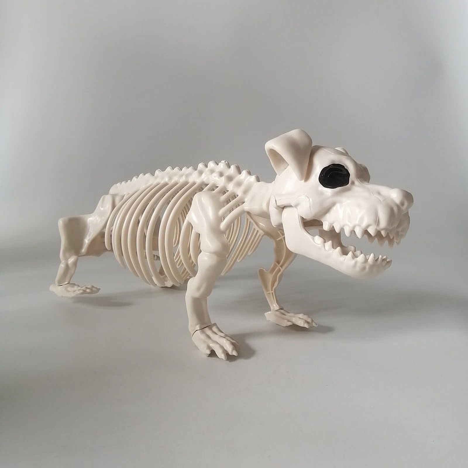 Short Legged Dog Skeleton Decoration Skeleton Short Legged Dog Statue ...