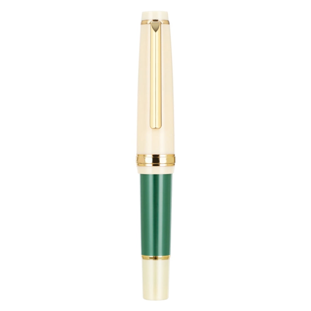 Short Resin Fountain Pen for Handwriting Small Fountain Pen with Inks ...