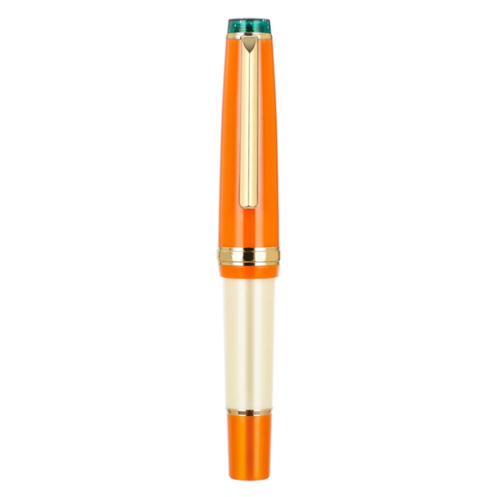 Short Resin Fountain Pen for Handwriting Small Fountain Pen with Inks ...