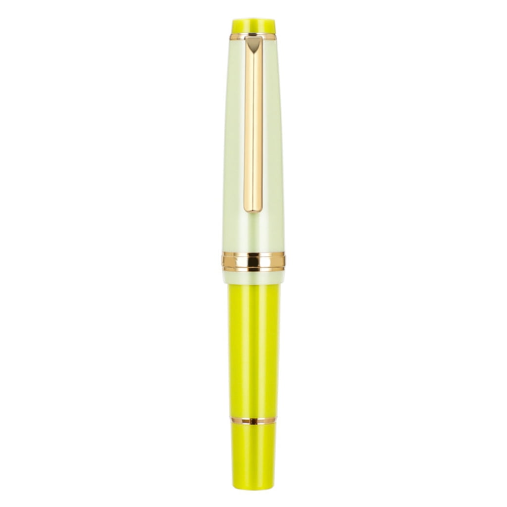 Short Resin Fountain Pen for Handwriting Small Fountain Pen with Inks ...