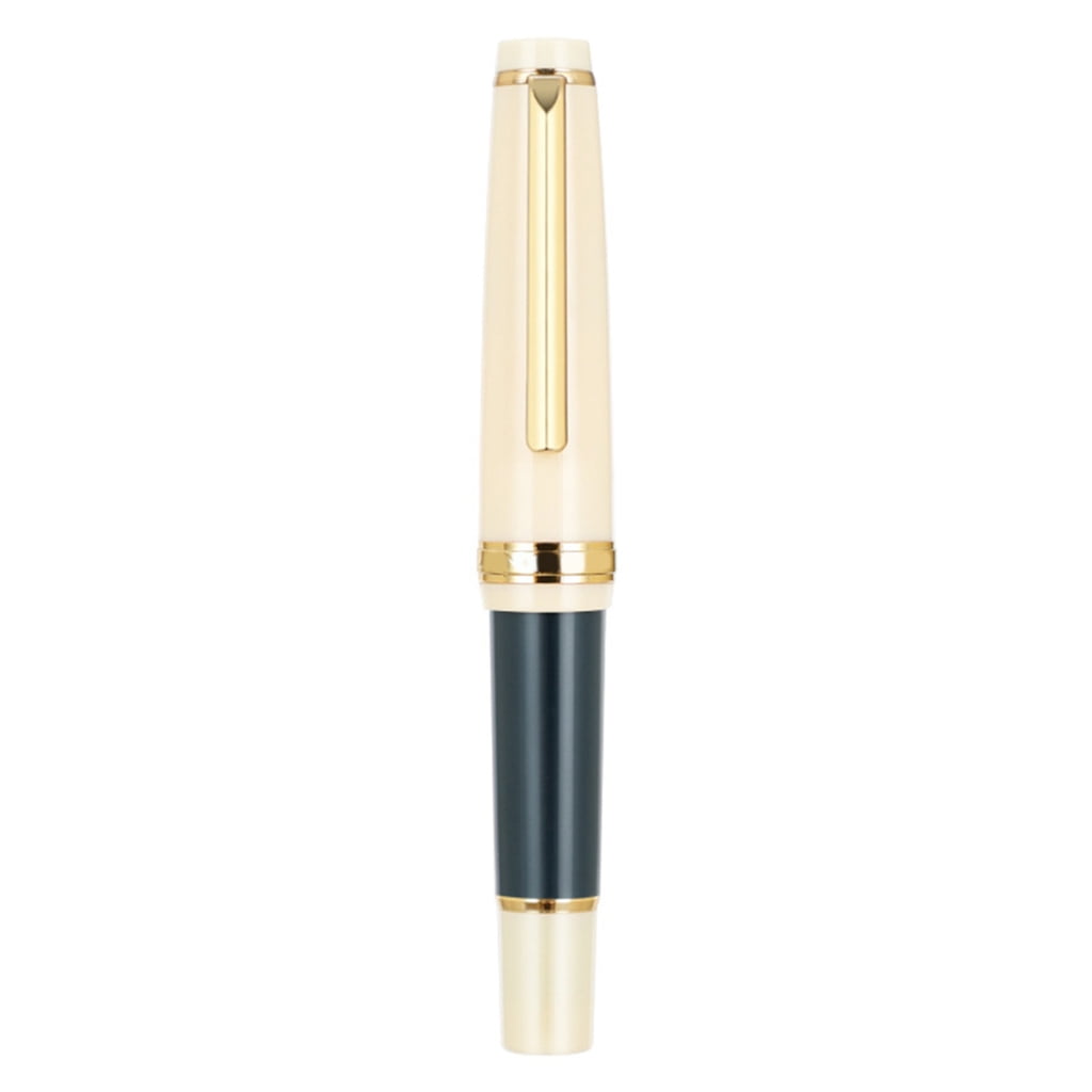 Short Resin Fountain Pen for Handwriting Small Fountain Pen with Inks ...