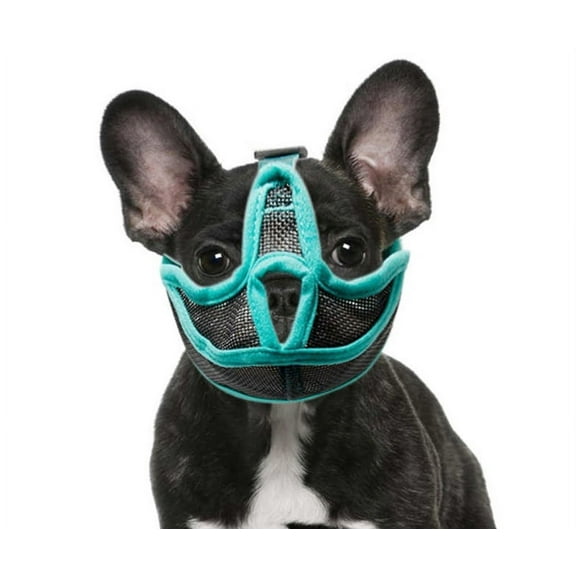 Uxcell Short Snout Dog Muzzles, Adjustable Mouth Cover for Dogs (XS ...