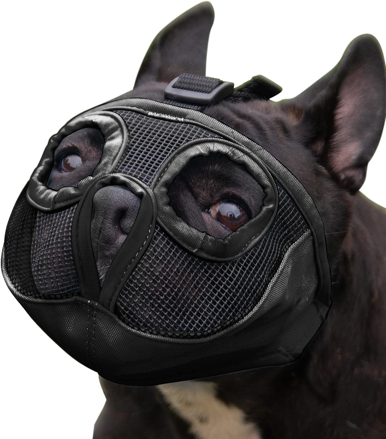 Short Snout Dog Muzzle- Adjustable Bulldog Muzzle Breathable Mesh Dog ...
