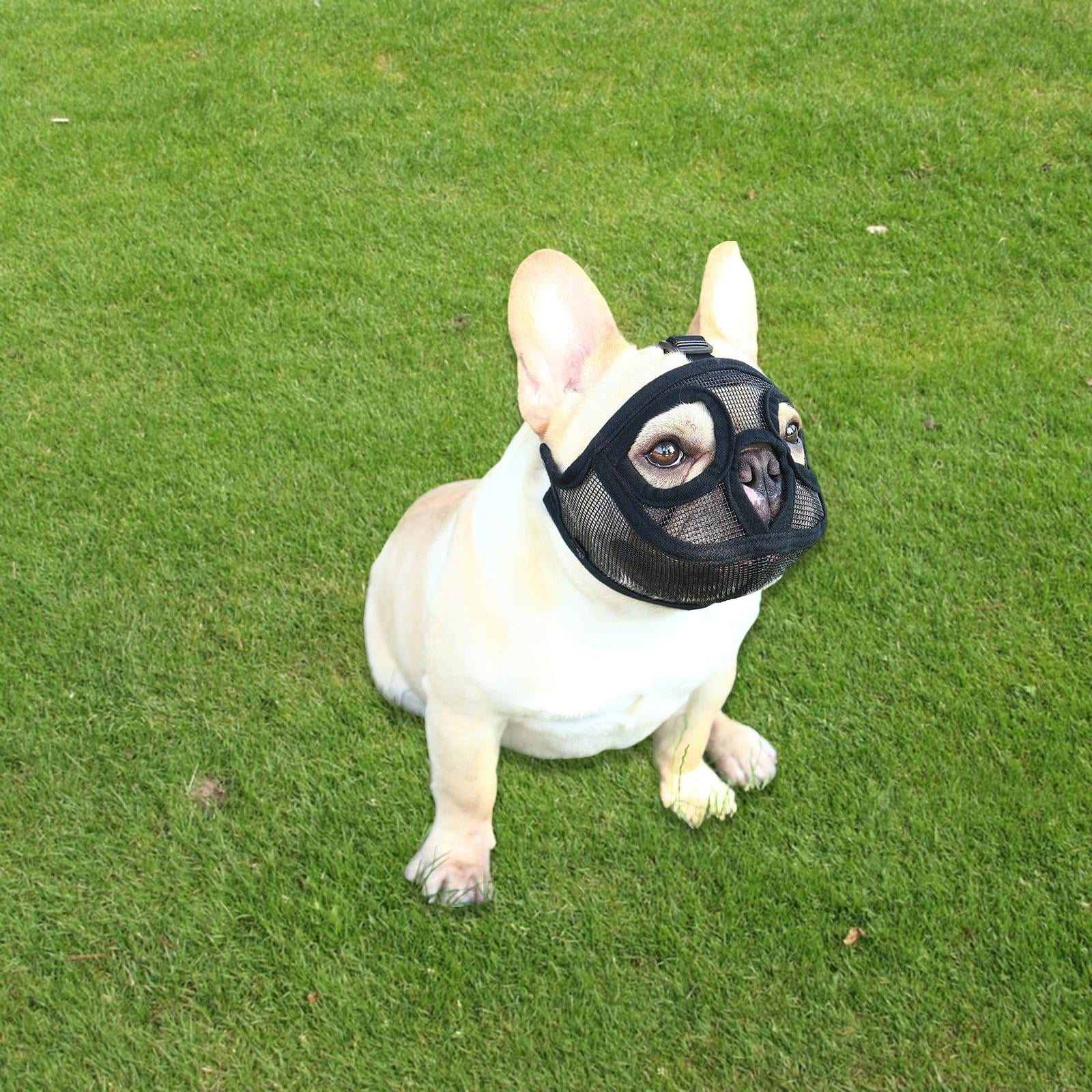 Short Snout s - Adjustable Breathable Mesh Biting and Licking Chewing ...