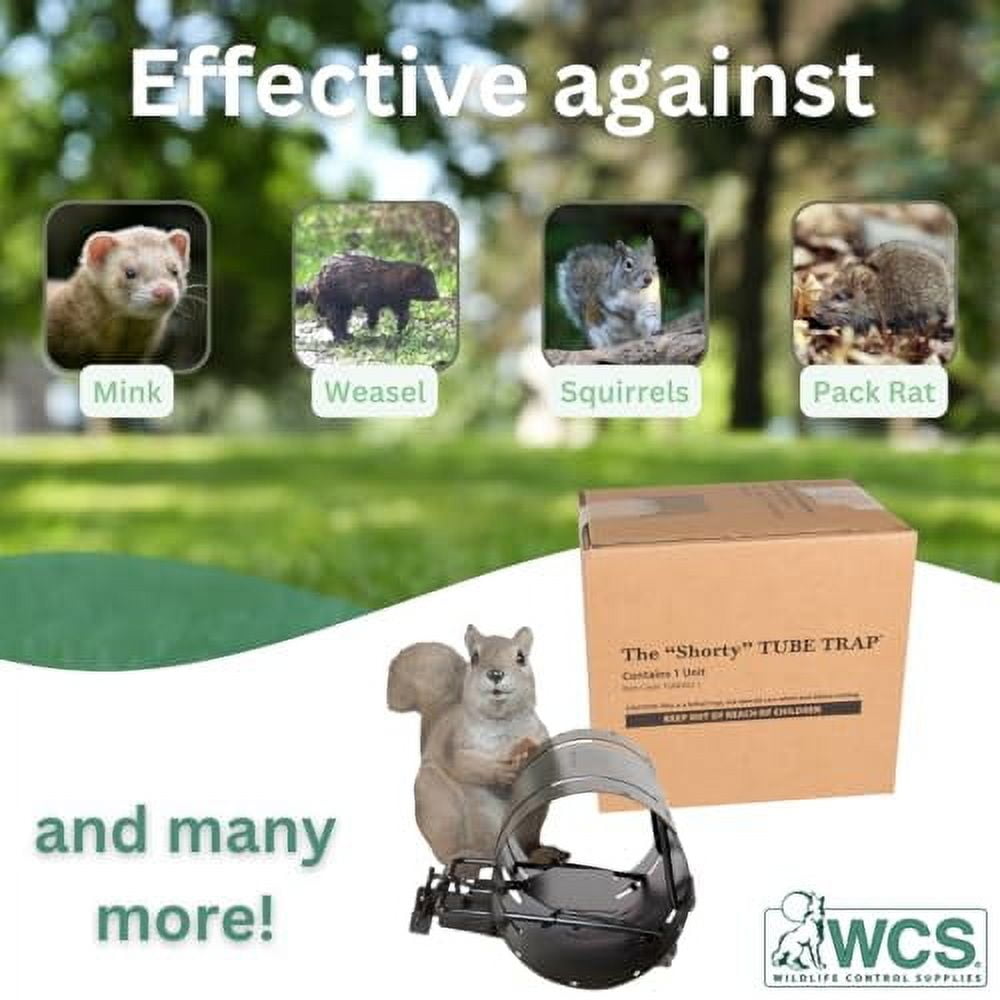 Shorty Tube Squirrel Trap –Compact Spring-Loaded Rodent Trap by ...
