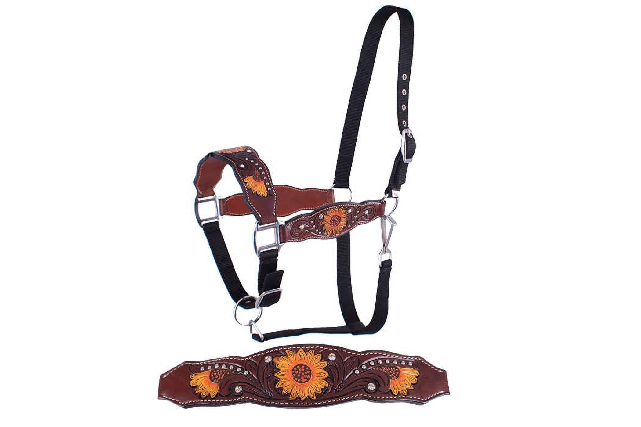 Showman Bronc Halter w/ Painted Sunflower Leather Noseband - Walmart.com