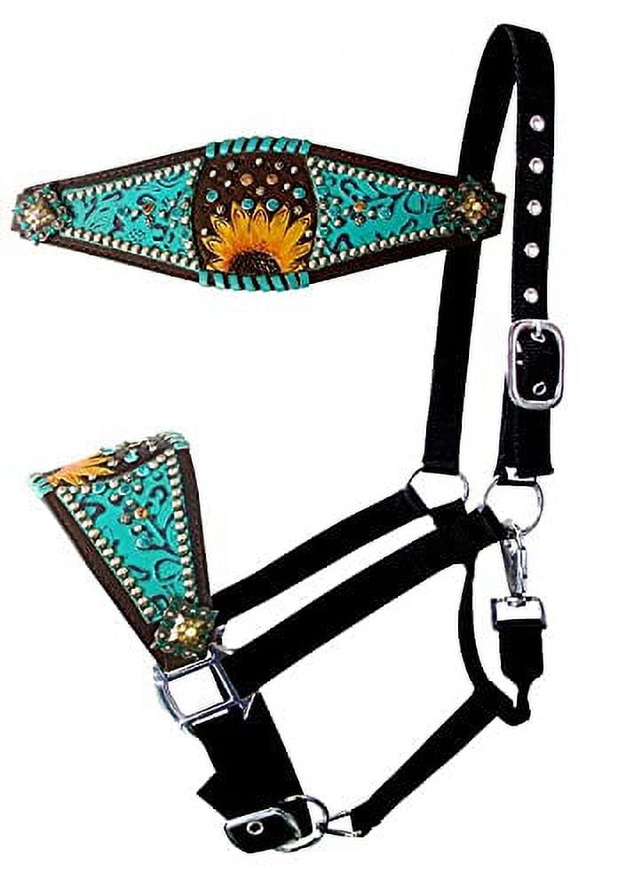 Showman Bronc Halter w/ Painted Tooled Sunflower & Teal Filigree Inlay ...