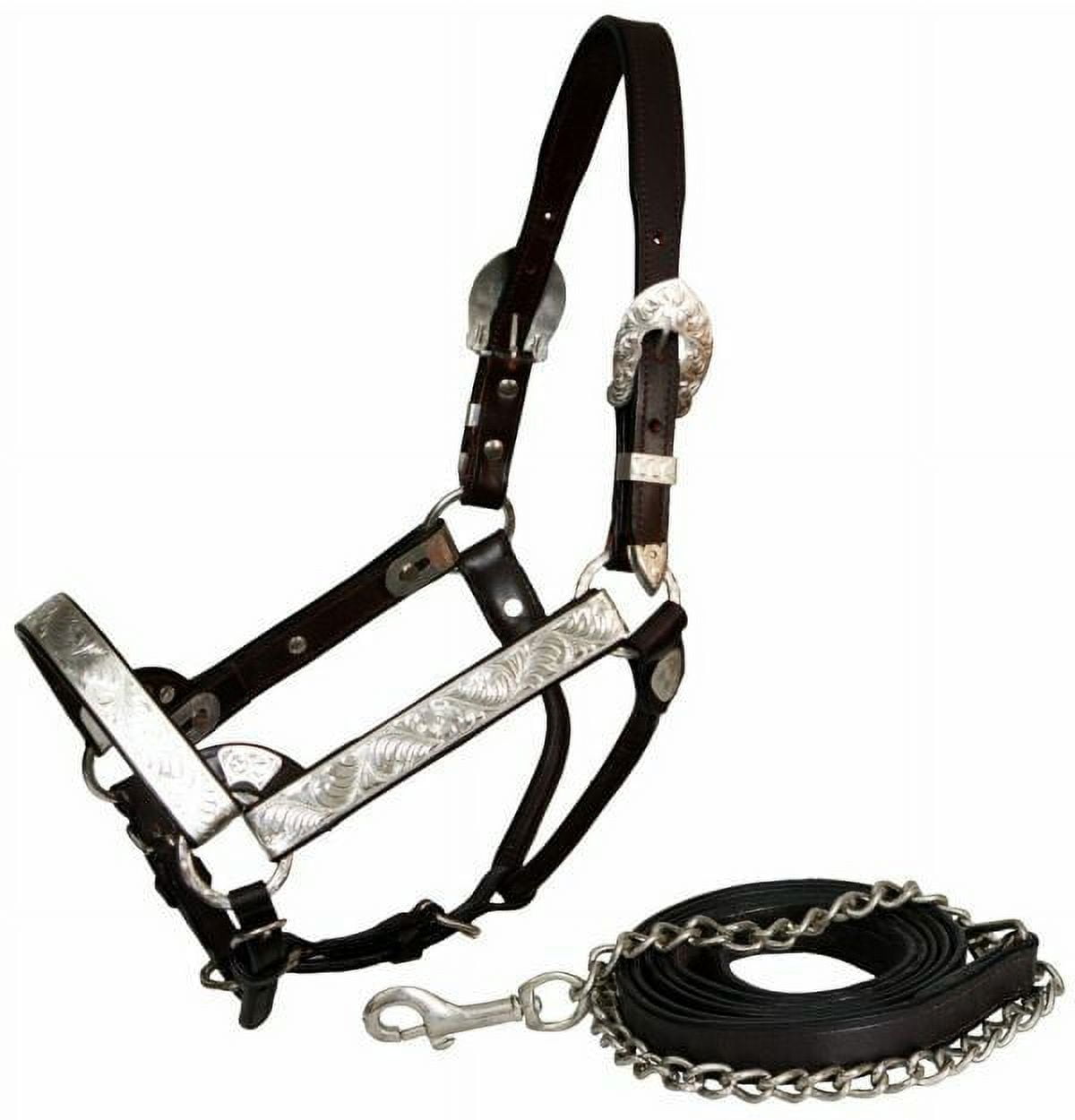 Showman Dark Brown Leather Full Size Horse Engraved Silver Show Halter ...