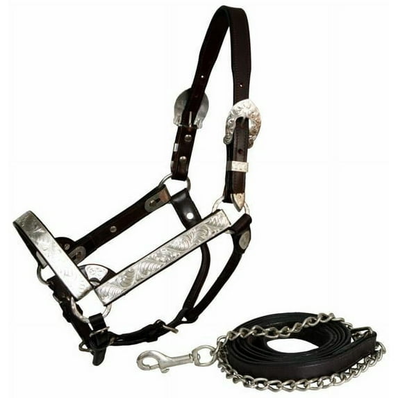 Showman Dark Brown Leather Full Size Horse Engraved Silver Show Halter ...