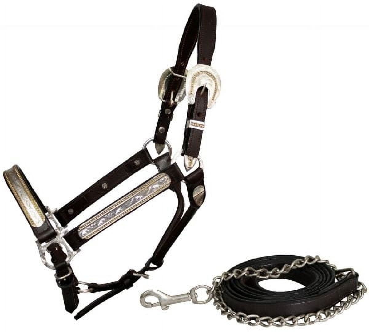 Showman Dark Brown Leather Show Halter w/ Silver & Gold Accents ...