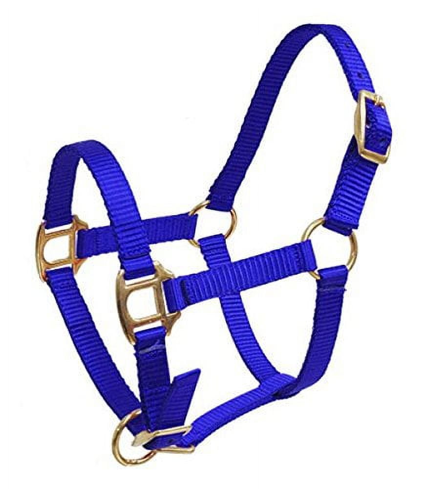 Showman FOAL/MINI Premium Nylon Halter w/ Brass Hardware (Blue ...
