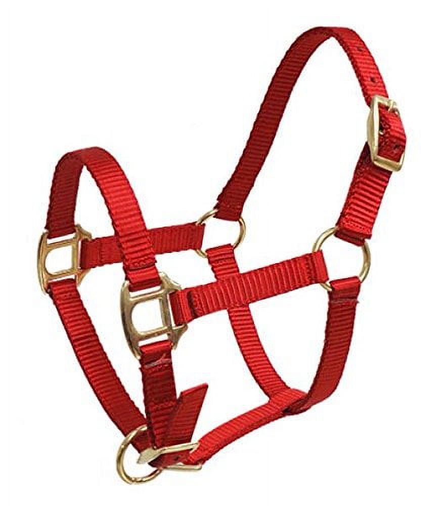 Showman FOAL/MINI Premium Nylon Halter w/ Brass Hardware - Walmart.com