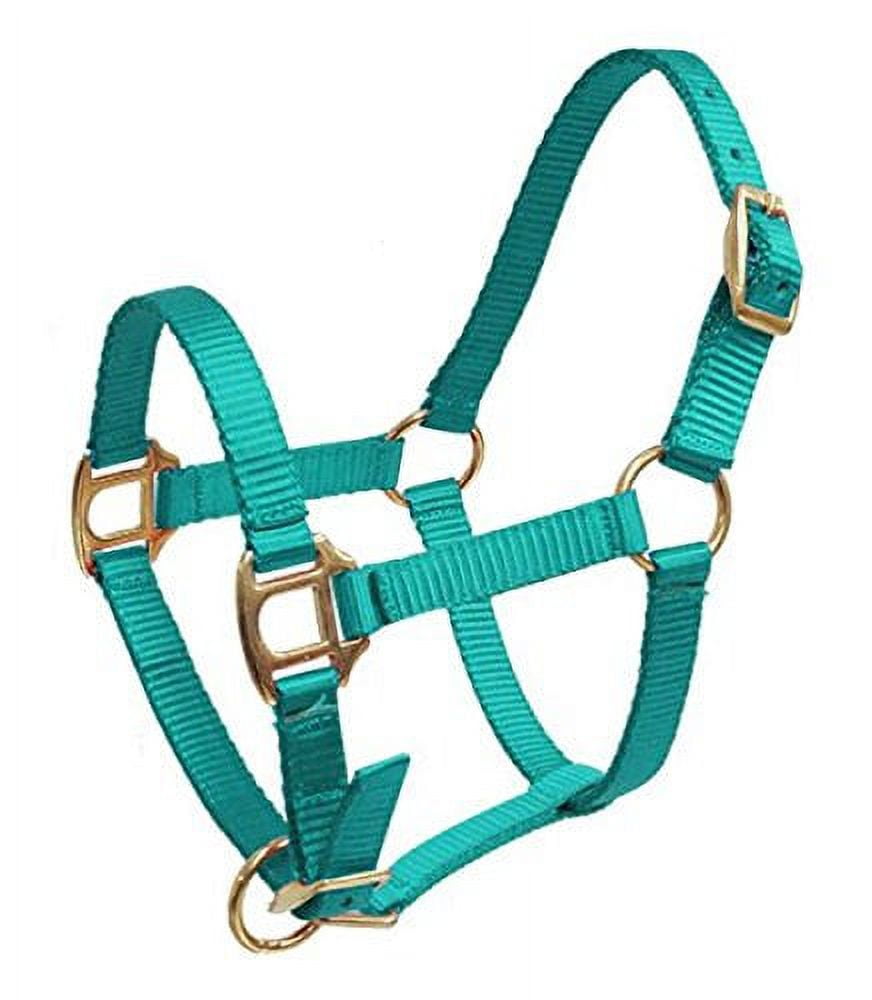Showman FOAL/MINI Premium Nylon Halter w/ Brass Hardware (Teal ...