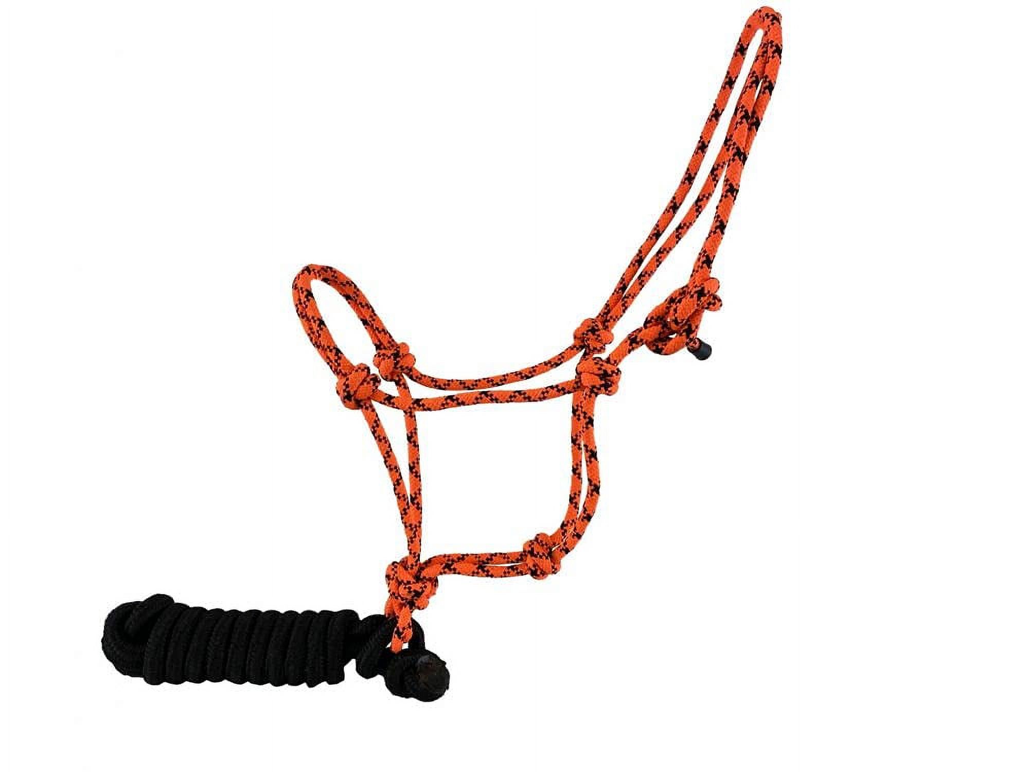 Showman Fluorescent Speckled Cowboy Knot Halter w/ Removable Lead (Orange) - Walmart.com