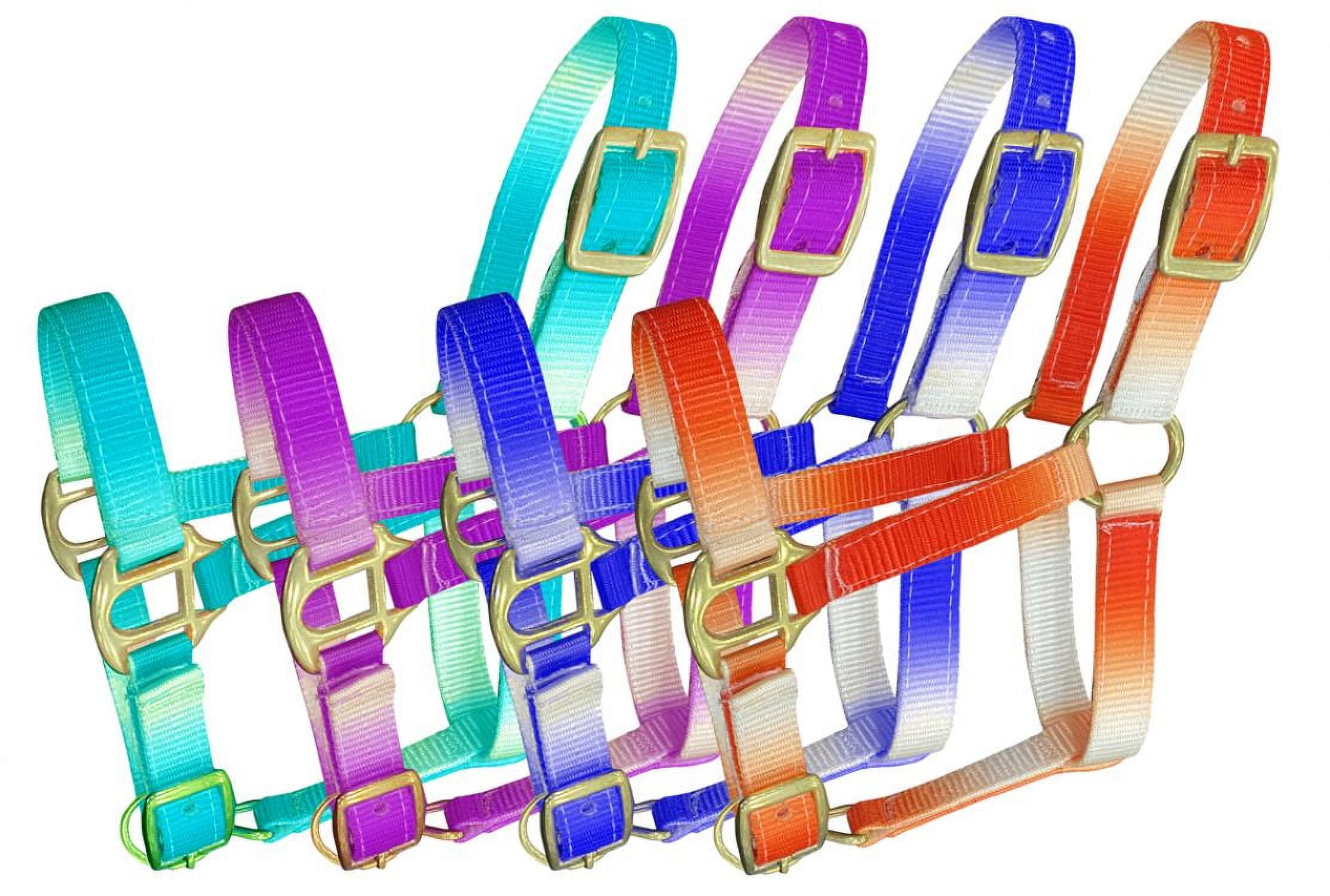 Showman Foal/Mini Nylon Ombre Halter (Red) - Walmart.com