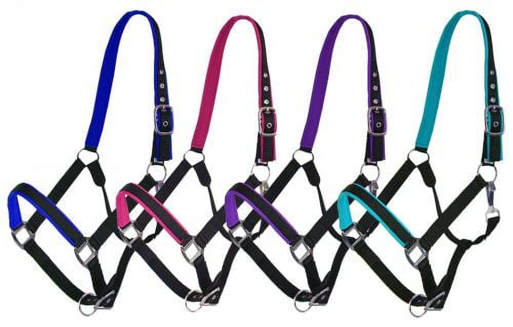 Showman Full Size Horse Nylon Colored Neoprene Lined Halter (Blue ...