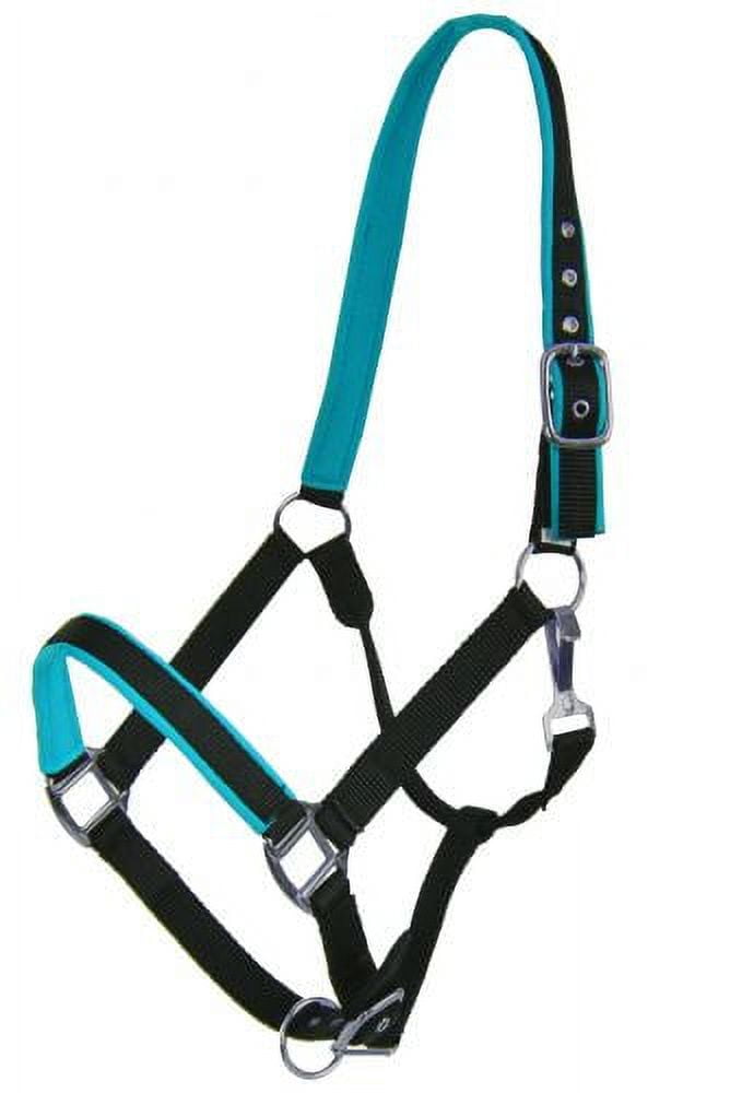 Showman Full Size Horse Nylon Colored Neoprene Lined Halter - Walmart.com