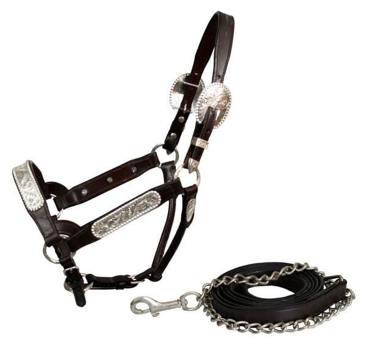Showman Leather Show Halter w/ Engraved Silver Accents - Walmart.com