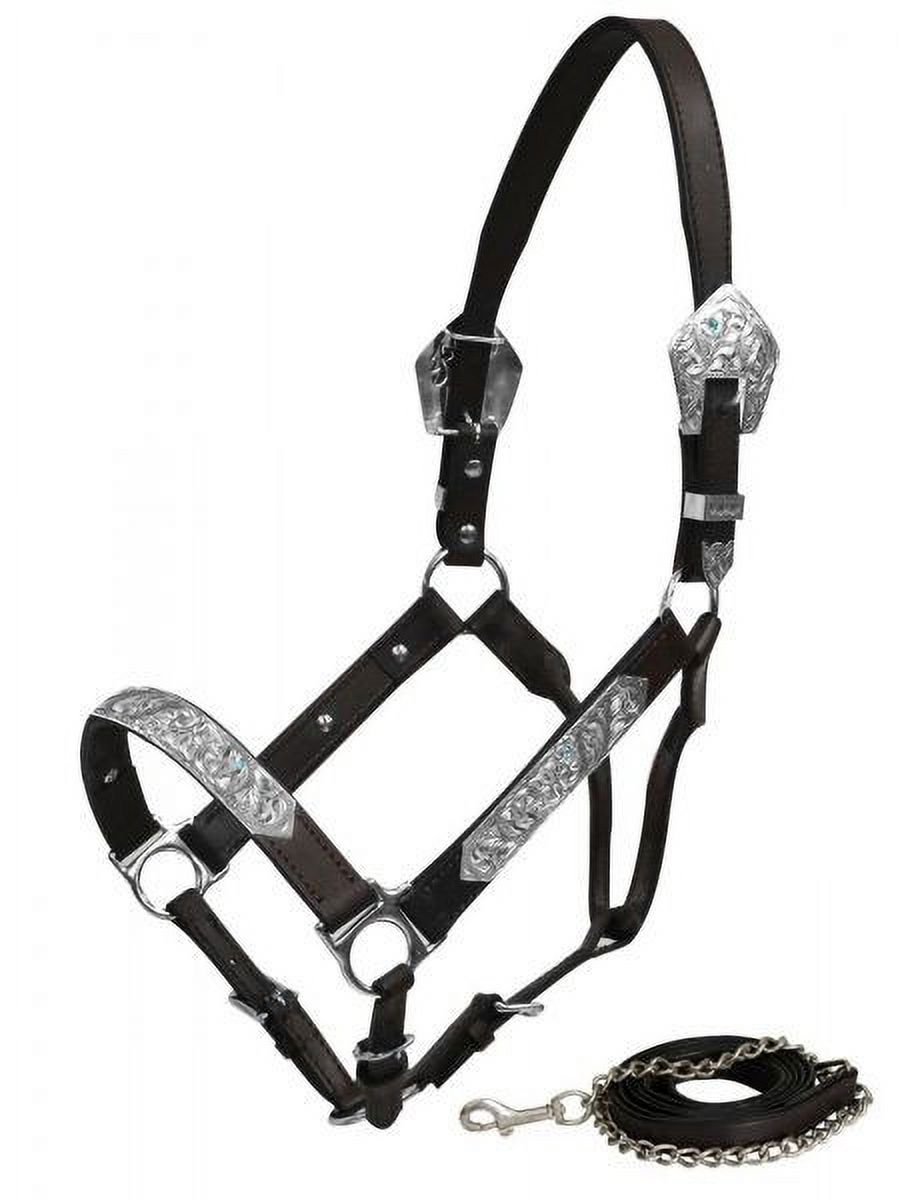 Showman Leather Show Halter w/ Engraved Silver & Aqua Rhinestones ...