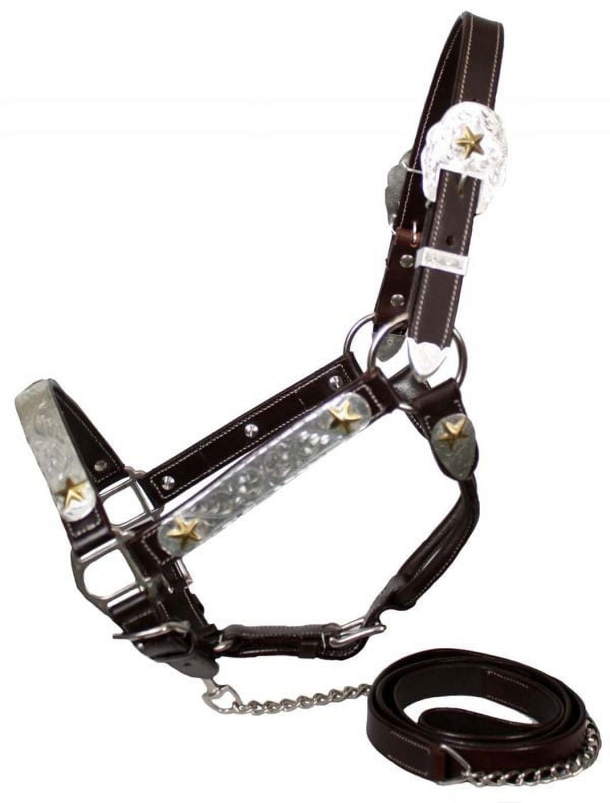 Showman Leather Show Halter w/ Engraved Silver & Gold Star Accents ...